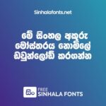 FM Sinhala Fonts – Free Sinhala Fonts | Download Sinhala Fonts ...