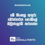 FM Sinhala Font Collection Free Download | FM Font Pack – Free Sinhala ...